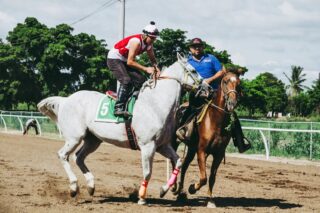 Cheltenham Festivals Unveils 2026 Programme with Diverse Events ...
